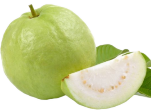 Guava, Luo Han (Pcs) 番石榴, 罗汉 [Country: Malaysia] – L.E.S Fruits